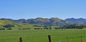 Easter in California! | Shannon Richardson ~ Author & Photographer