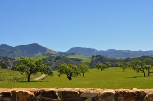 Easter in California! | Shannon Richardson ~ Author & Photographer